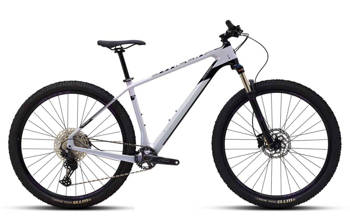 Polygon Mountain Bikes | Syncline C2 29er | Cycling Boutique