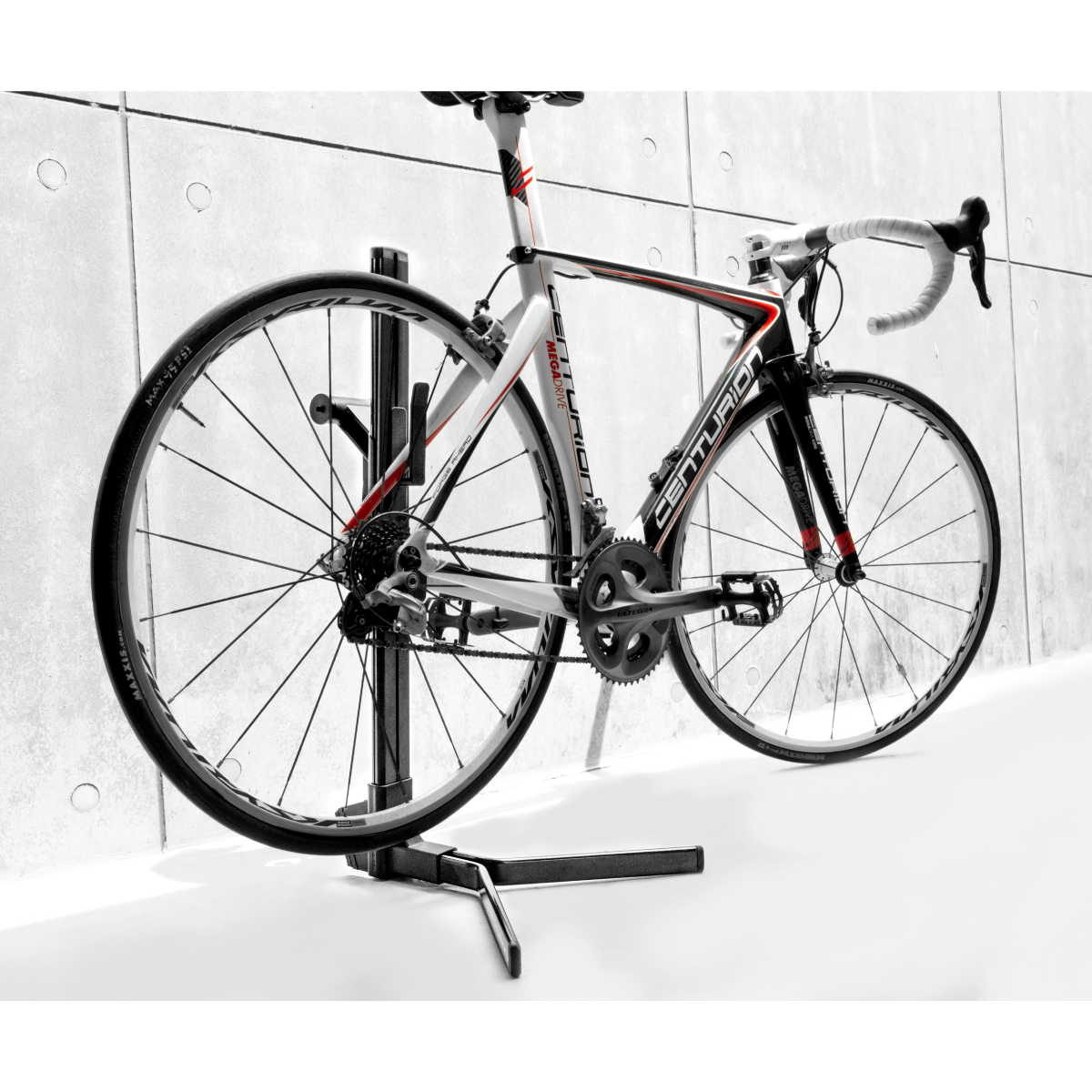 Birzman Bike Storage & Repair Stand | Feexstand | Cycling Boutique