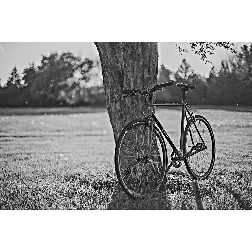 Fyxation USA Single Speed / Fixed Gear Bike | Pixel | Cycling Boutique